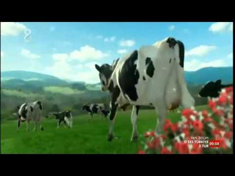 Sütaş sütaşın aşkı reklamı 2016
