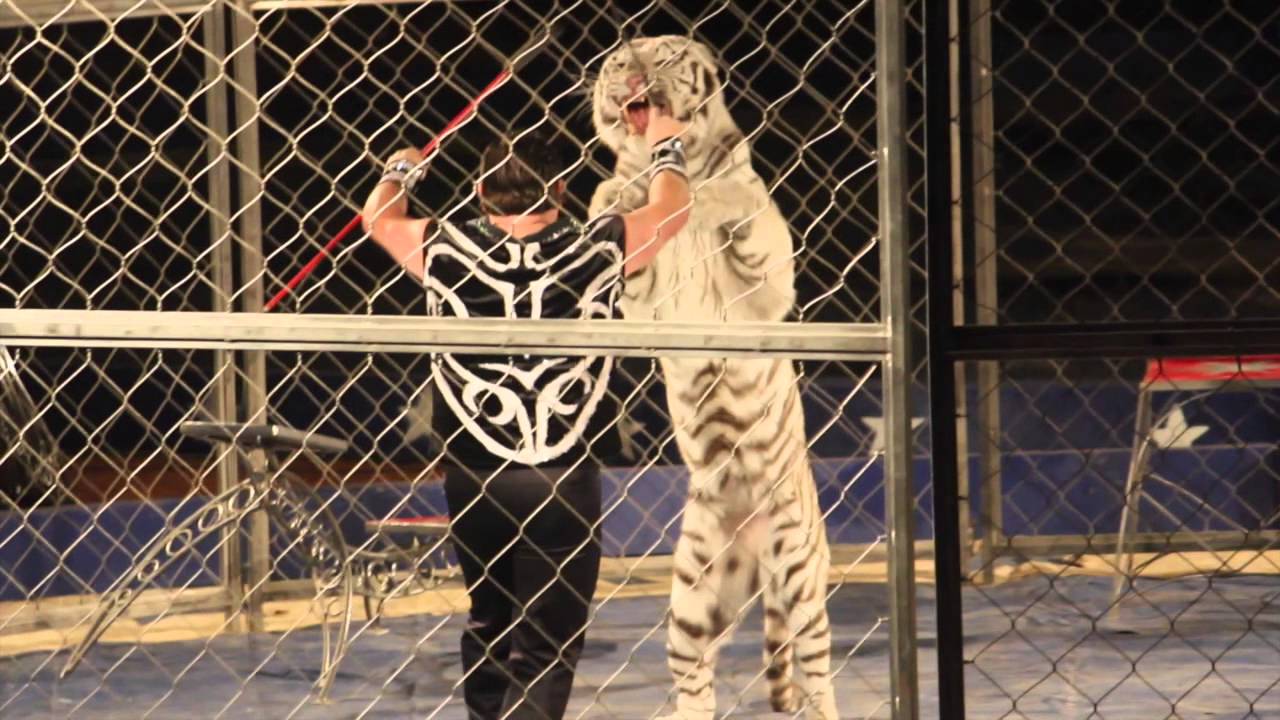 Jordan World Circus - YouTube