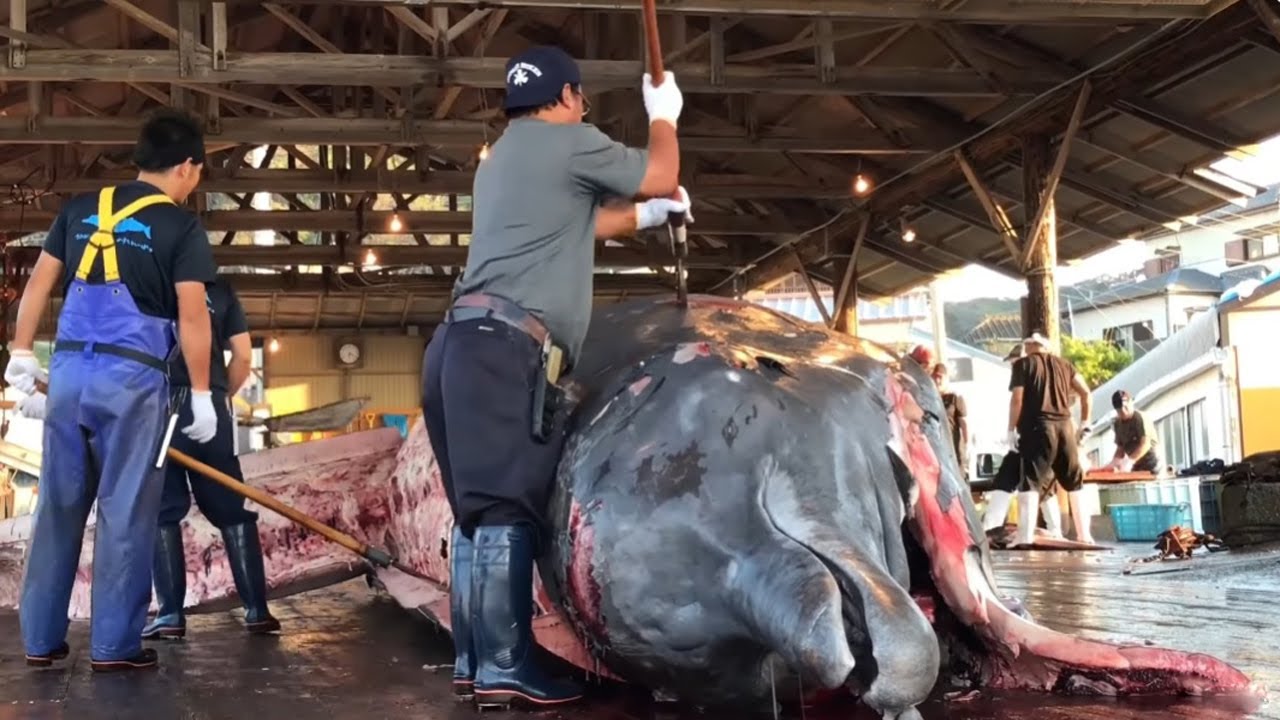 Traditional Japanese Whale and Shark Meat - Masterful Cutting Skills ...