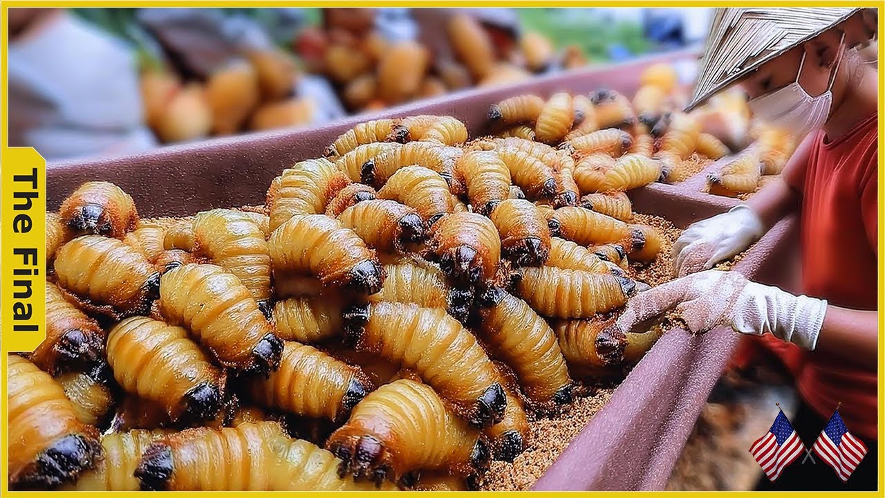 Million Dollar Profits From Coconut Worms: Southeast Asia’s Gritty ...