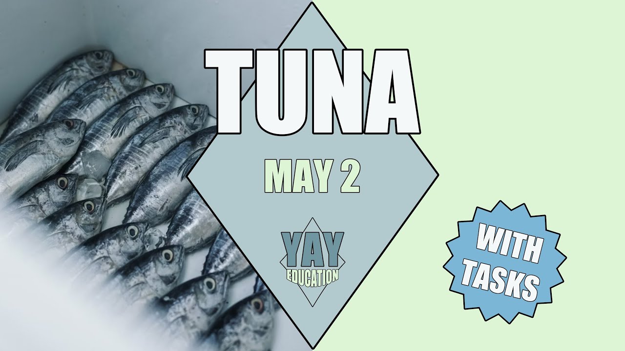 Why We Celebrate World Tuna Day on May 2nd | YAY Education - YouTube