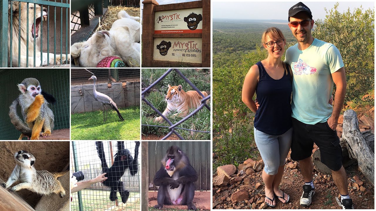 Zenzele River Lodge | Anniversary weekend | Limpopo - YouTube