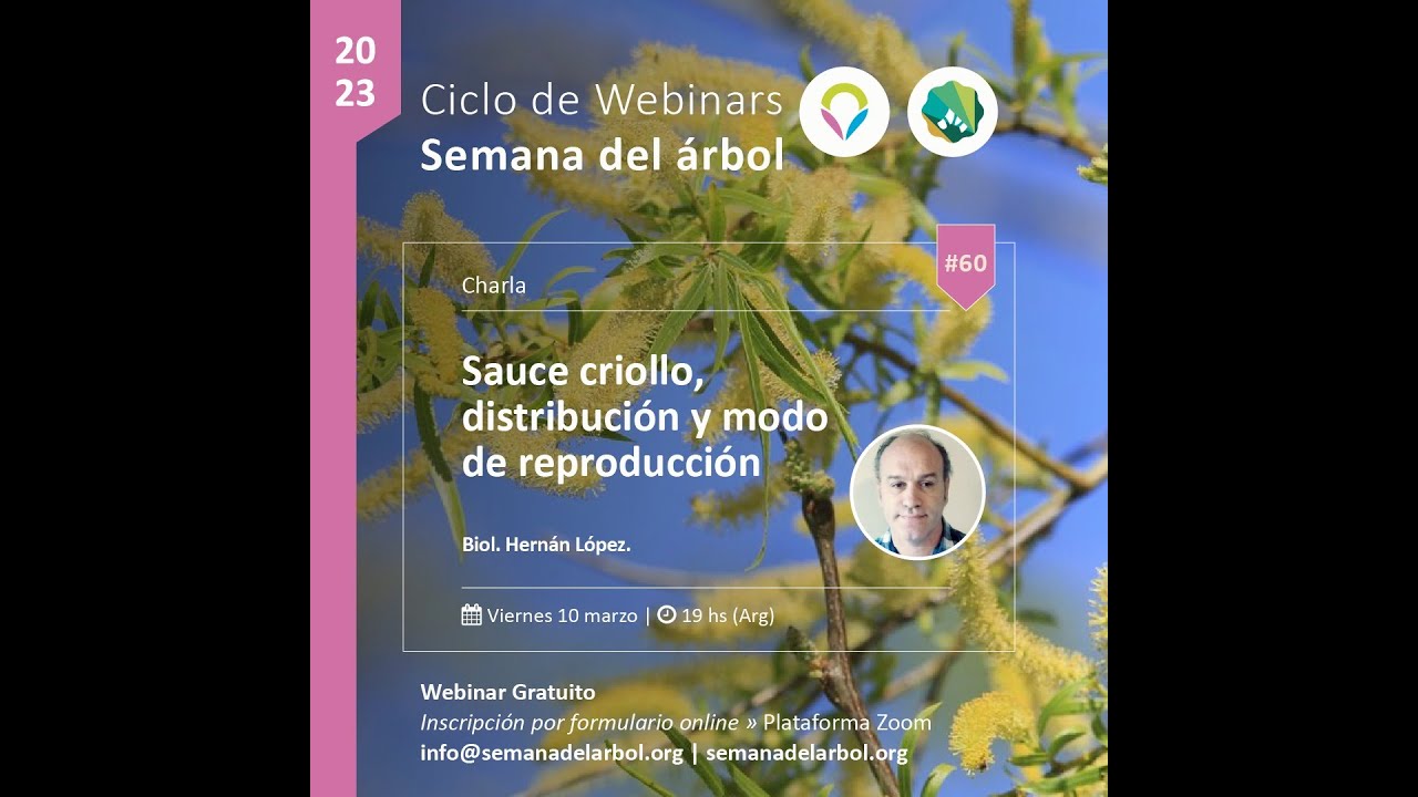 No te pierdas nuestro webinar de Sauce Criollo!
