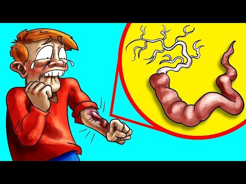 Не Давайте Им Лизнуть Вас