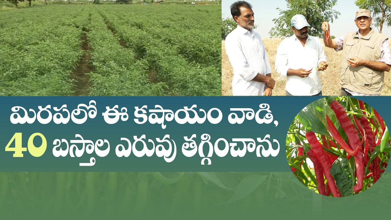 E158 | ఎరువులు తగ్గించడానికి.. ఈ కషాయాలే కారణం | @GramaBazaar | 94912 ...