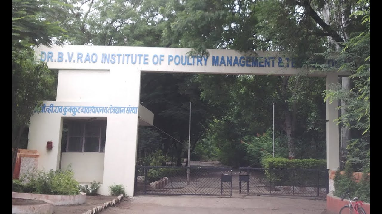 Dr B V Rao Institute Of Poultry Management And Technology - YouTube