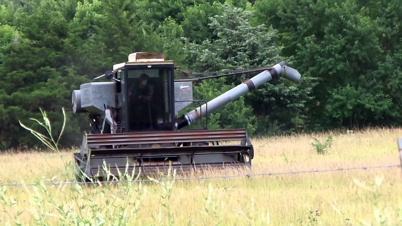 Allis Chalmers Gleaner C2 Combining Fescue - YouTube