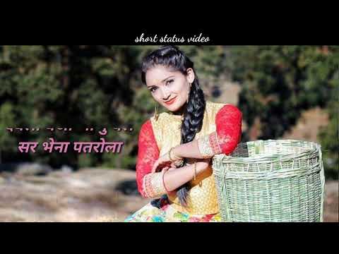 #स्याळी रामदेई#new gharwali#song negi ji#statu#video