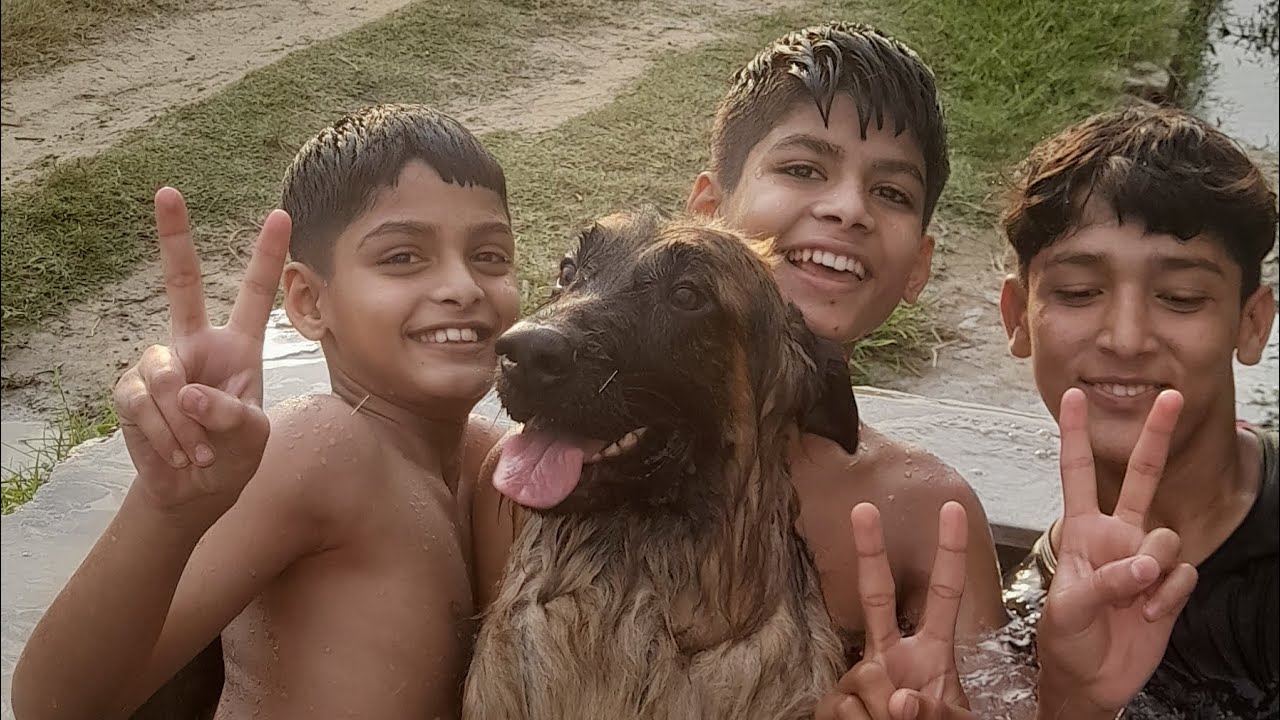 नानी के गांव में Simba की मस्ती# viral# vlog - YouTube