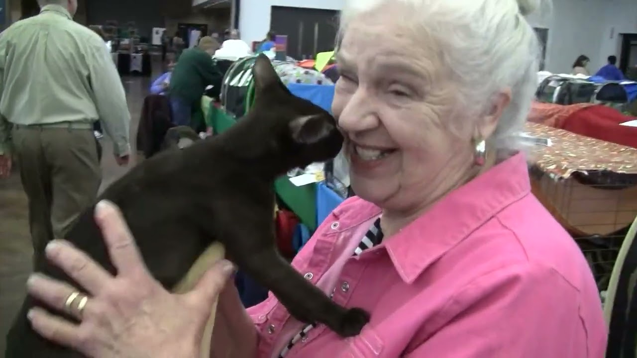 2019 OTRA Region 6 "Wherever You Will Go" - YouTube