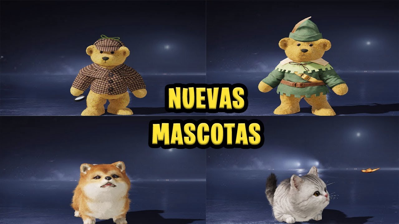 Las NUEVAS MASCOTAS DE PUBG MOBILE | TEDDY BEAR #pubgmnextstarprogram ...