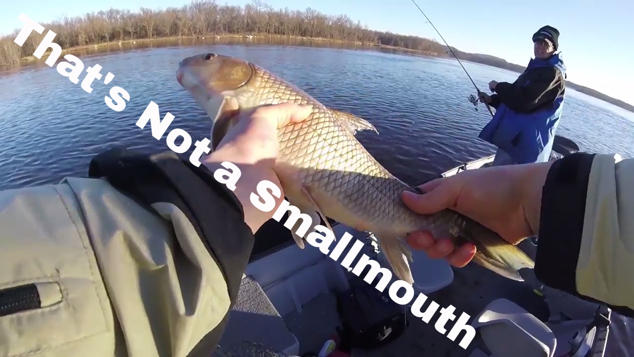 Wisconsin River Winter Carp Fishing - YouTube