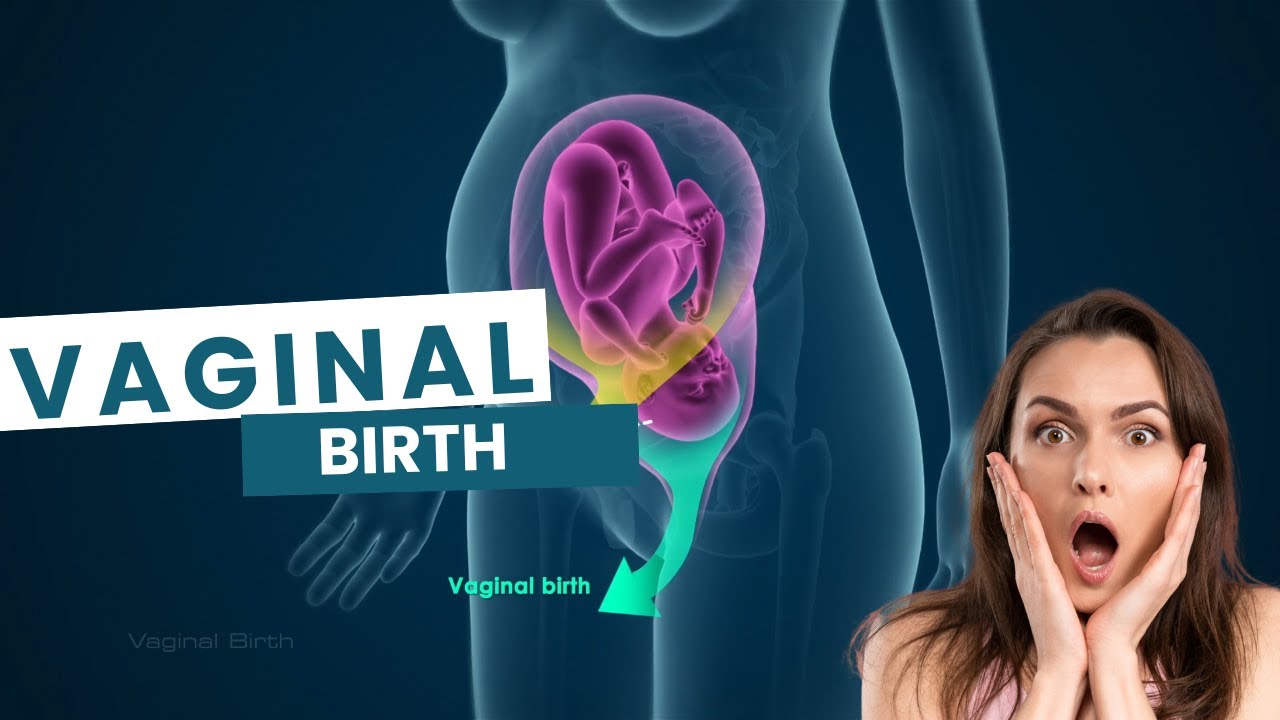 Vaginal Birth Explained: Stages, Pain & Recovery - YouTube