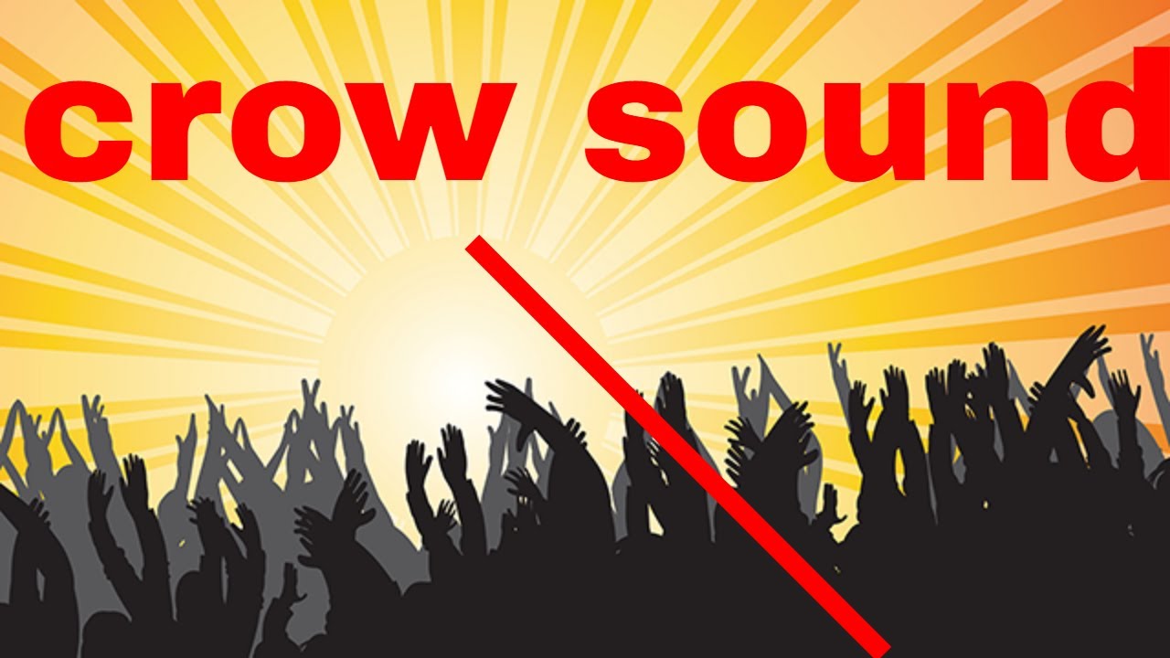 Crow sound effect for music||crow sounds very loud||crow sounds|| - YouTube