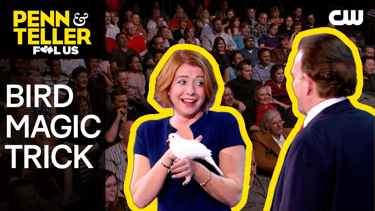 Magician Performs Bird Magic Trick | Penn & Teller: Fool Us | The CW ...