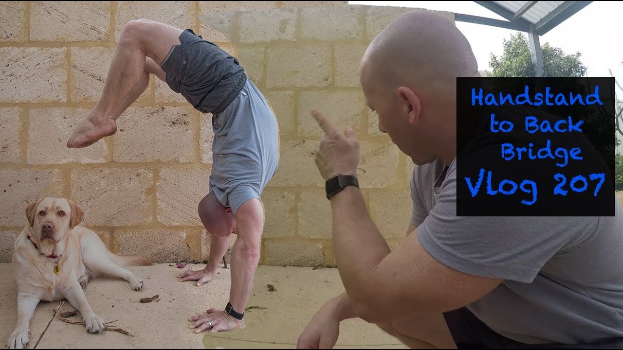 How to Drop to Back Bridge from Hollow Back Handstand when your not ...