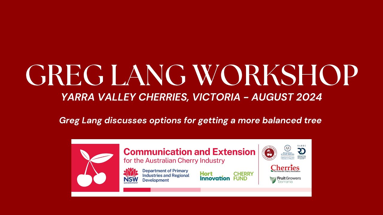 Greg Lang Discusses Options for Getting a More Balanced Tree - YouTube