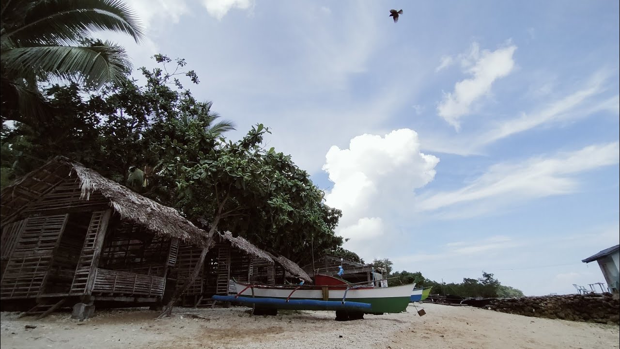 Summer beach destination |Anahaw Beach | Barili's beach destination ...