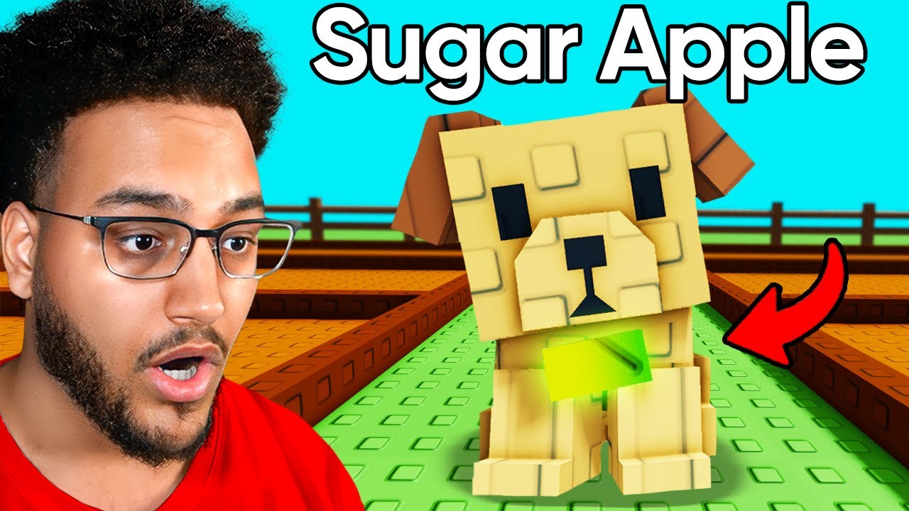 I Used Only Seeds My Golden Lab Dig up in Grow a Garden! - YouTube