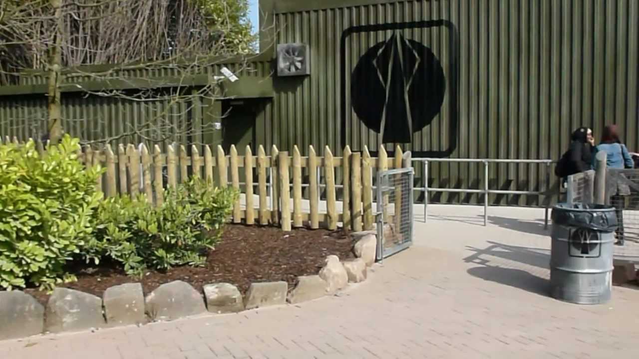 Nemesis Sub-Terra Alton Towers NEW RIDE 2012 Full HD 1080p - YouTube