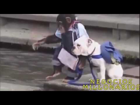 Yutobers