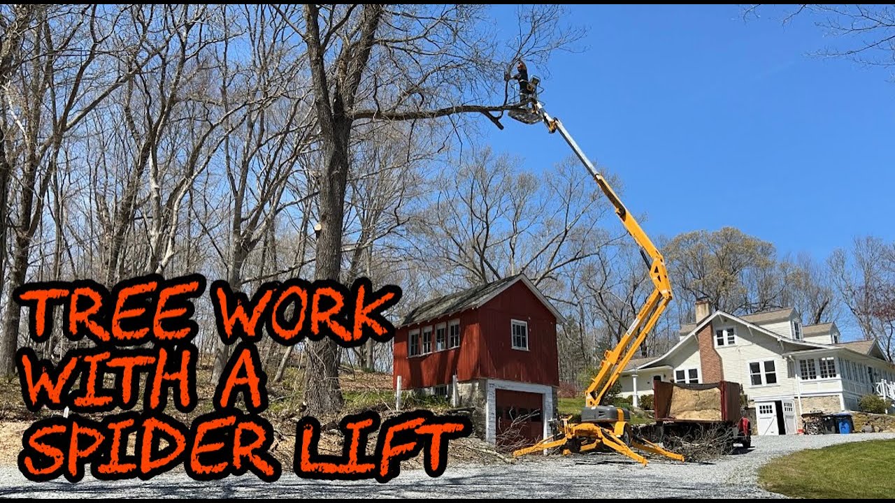#220 Taking Down and Pruning Trees with a Spider Lift - YouTube