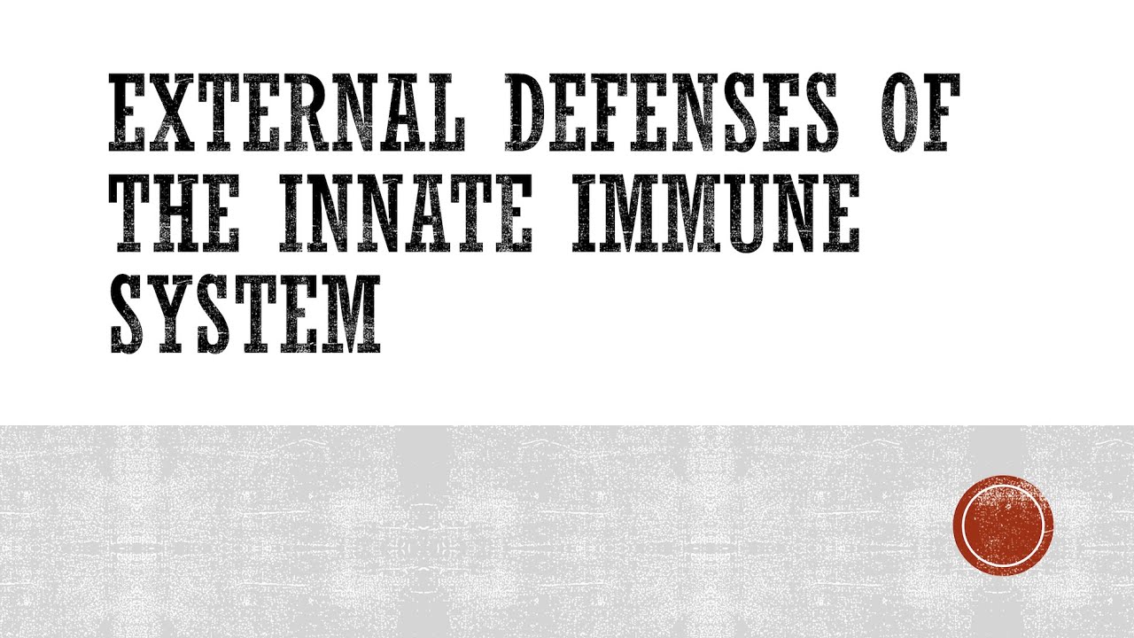 External Defenses of the Innate Immune System - YouTube