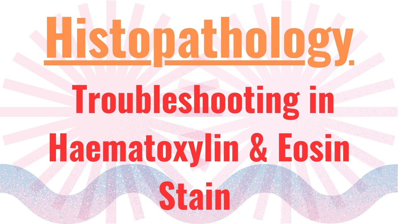 Troubleshooting in Haematoxylin & Eosin Stain - YouTube