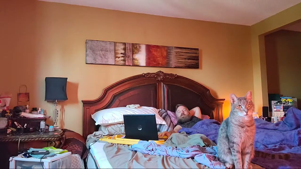 Sleep Stream Part 7 Youtube