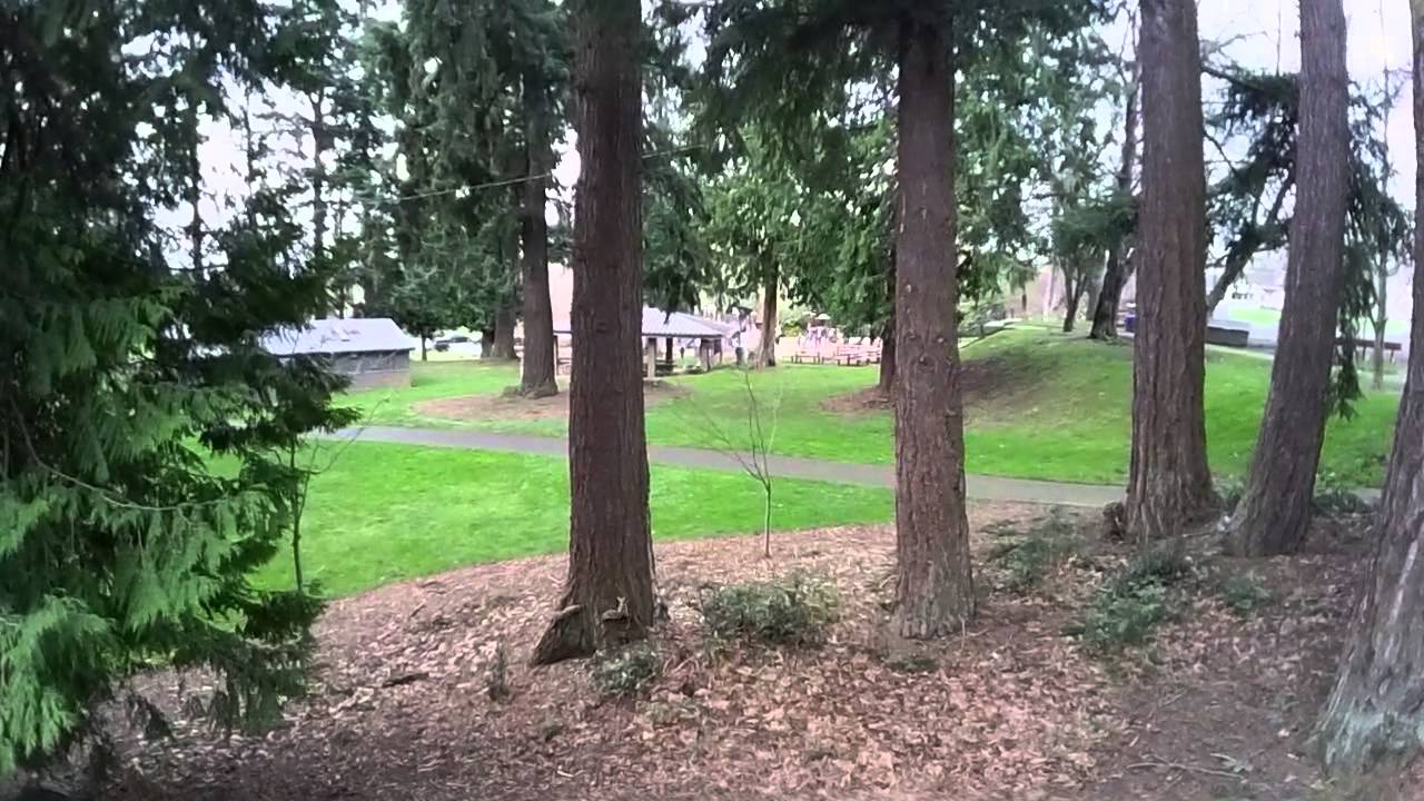Edmonds City Park Gazebo and Squirrels - YouTube