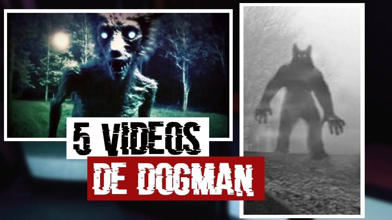 5 vidéos de DOGMAN! - YouTube