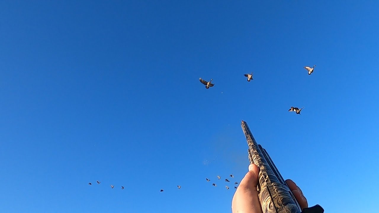 EPIC Goose Hunt in GEORGIA! - YouTube