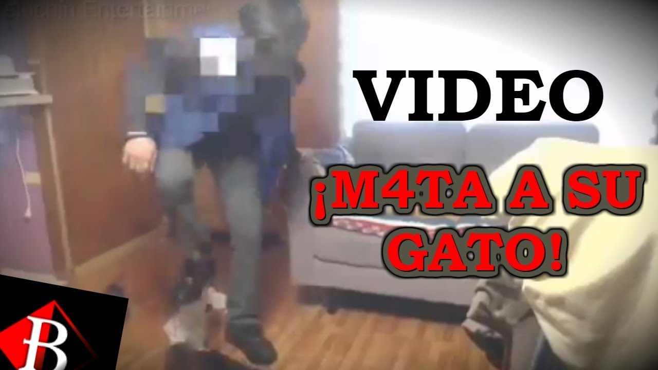 PELUCHIN ENTERTAINMENT - Resumen y opinión corta - YouTube