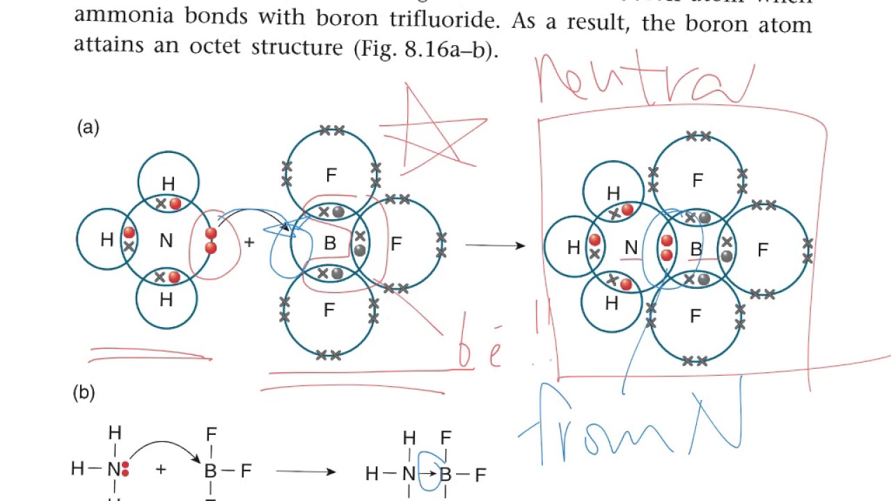 Unit 8 Covalent Bond_Part 2 - YouTube