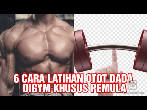 Bentuk otot dada untuk pemula digym | Program khusus pemula