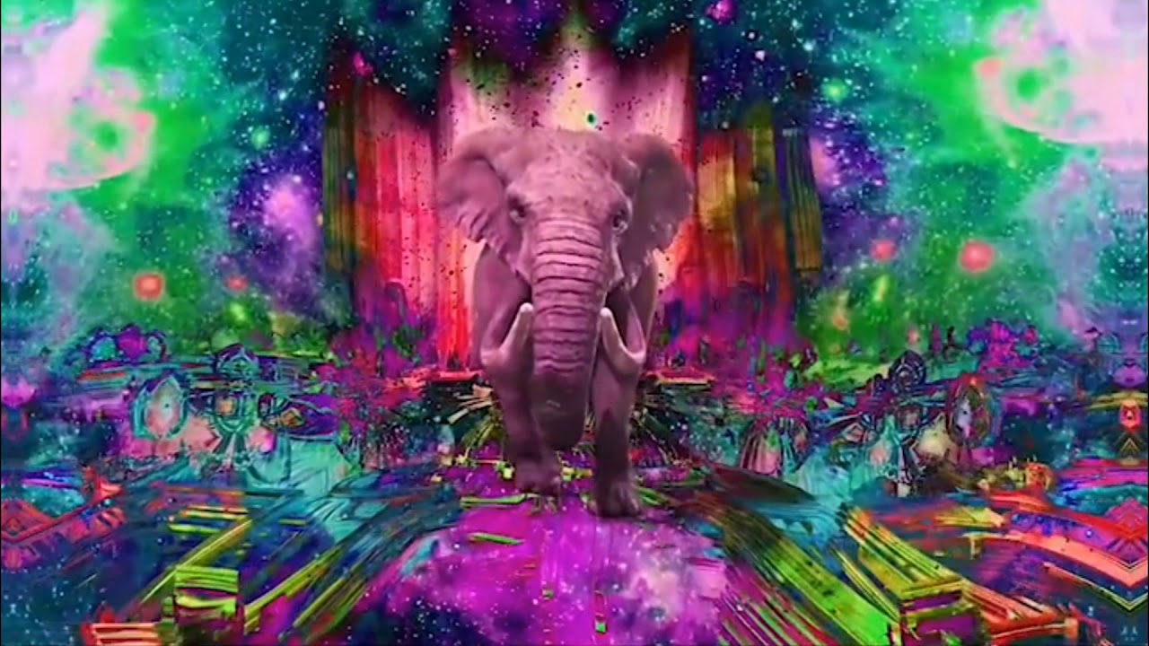 Psychedelic Elephant - YouTube