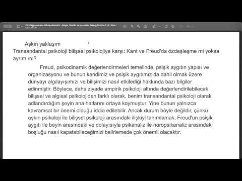 Northoff, Uygulamada Nöropsikanaliz, Beyin, Benlik ve Nesneler-2, K  Gizem Bacaksız