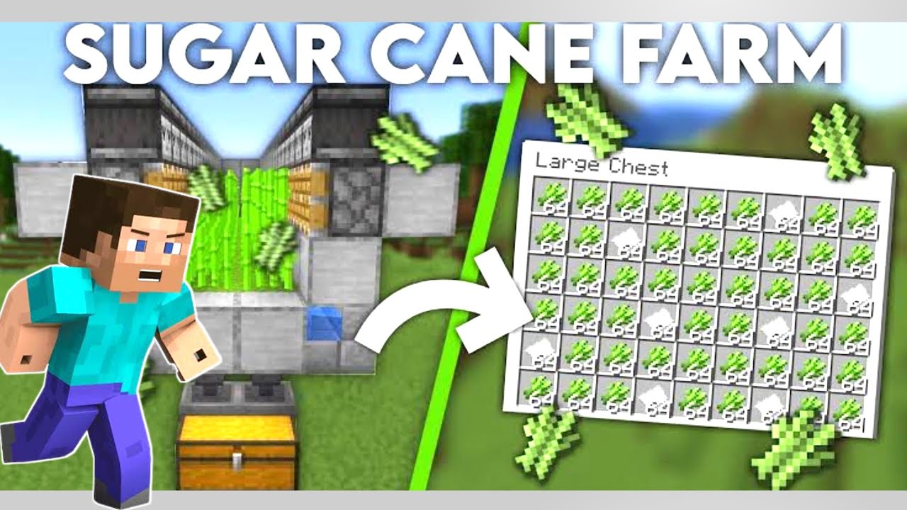 EASY SUGARCANE FARM FOR BEGINNERS MINECRAFT PE - YouTube