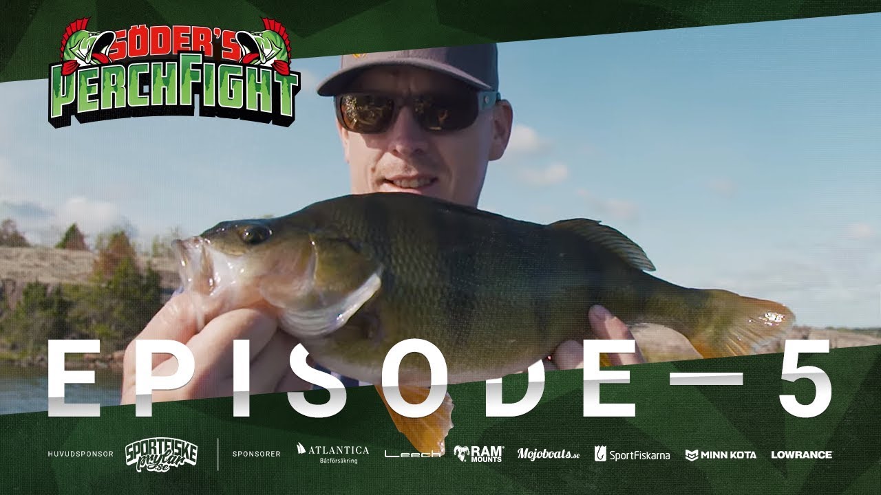 Perch Fight 2019 - Episode 5 - YouTube