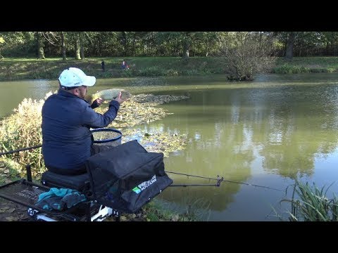 Fishing The Bread Feeder With Popped Up Bread - YouTube