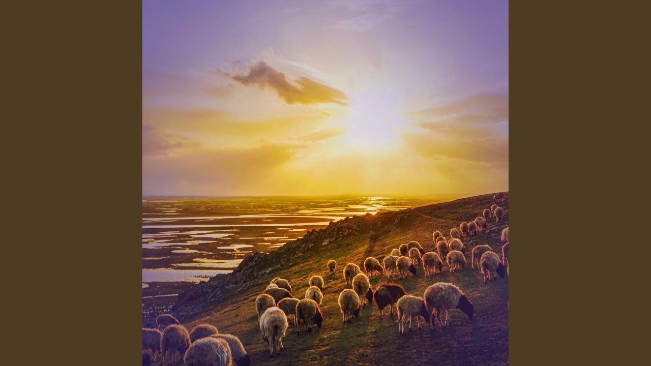 Calming Sheep Sounds for Deep Sleep and Meditation - YouTube Music