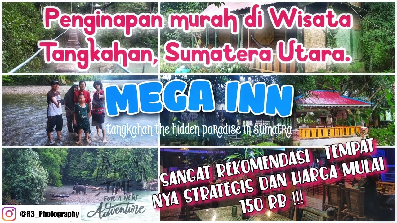 Mega Inn - Penginapan murah & strategis di Wisata Tangkahan " The ...