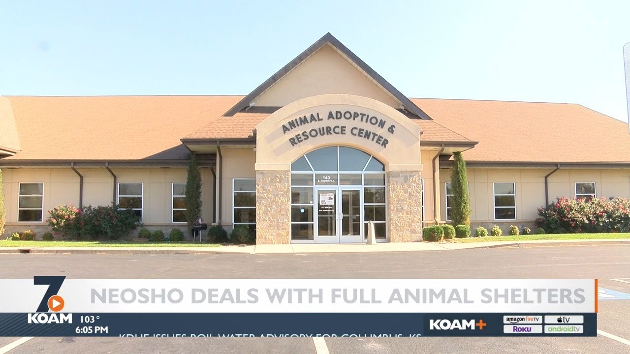 Neosho deals with a full animal shelter - YouTube