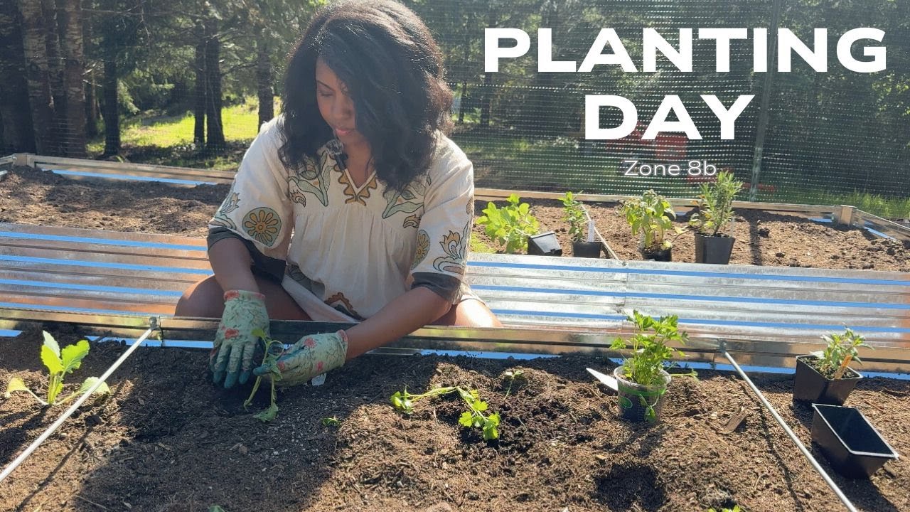 Planting my Garden | Zone 8b - YouTube