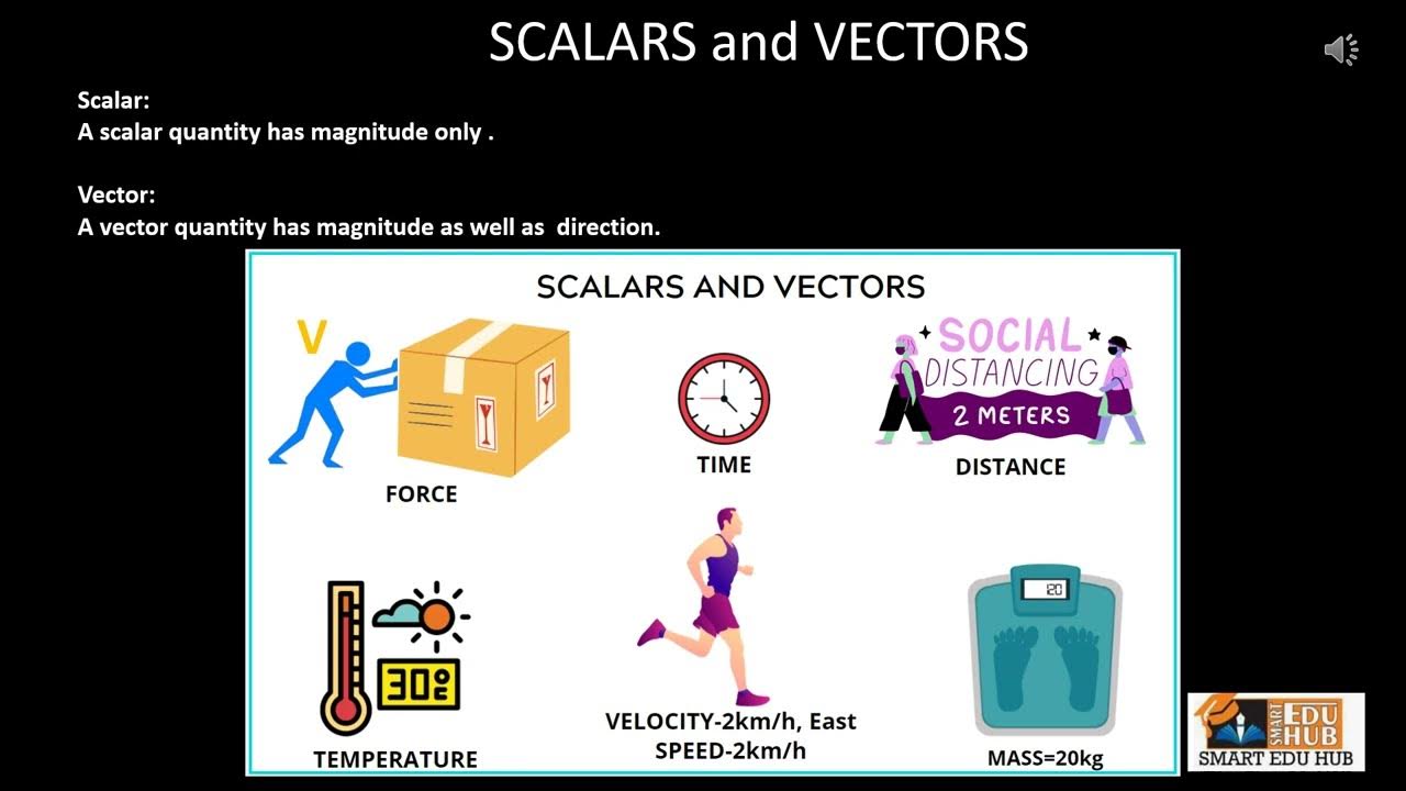 IGCSE Physics Scalars and vectors - YouTube