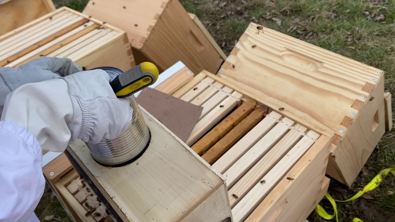 3 lbs package of bees installation in a 10 frames deeps . - YouTube