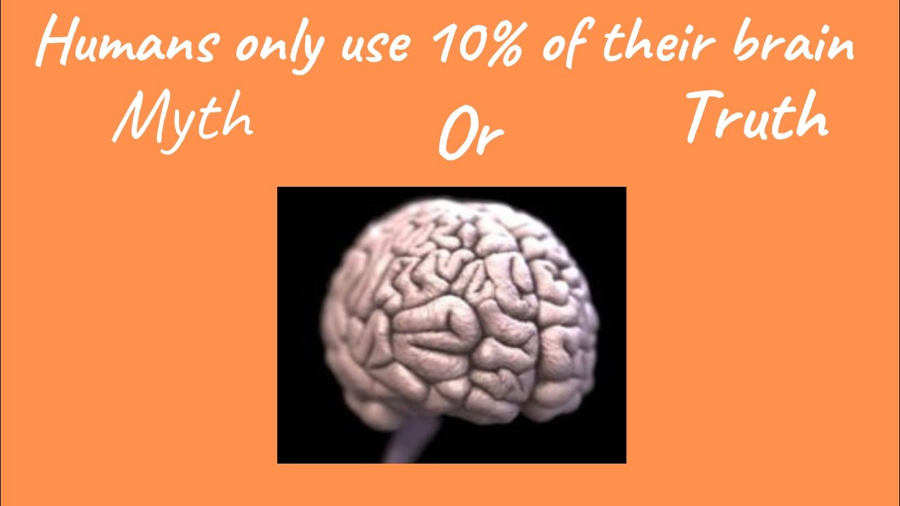 Myth and truth about the human body - YouTube