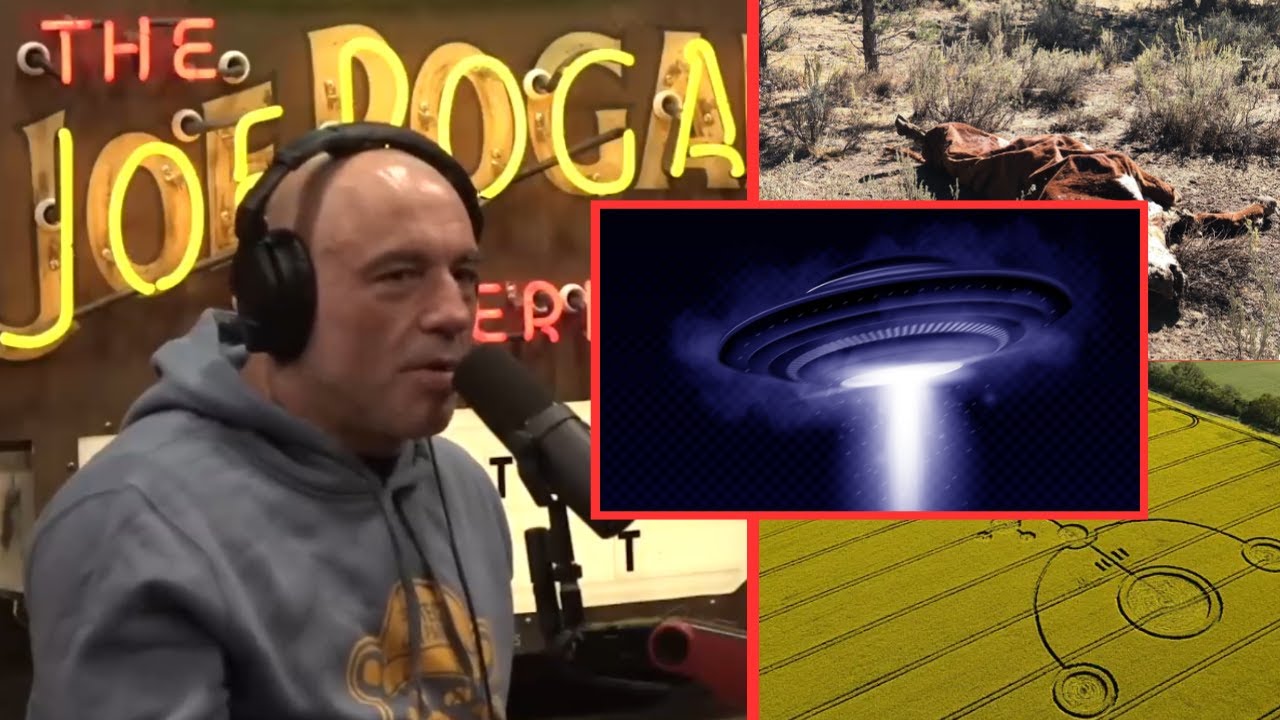 Joe Rogan Recent UFO Activity Discussion with Guests #jre #joerogan # ...