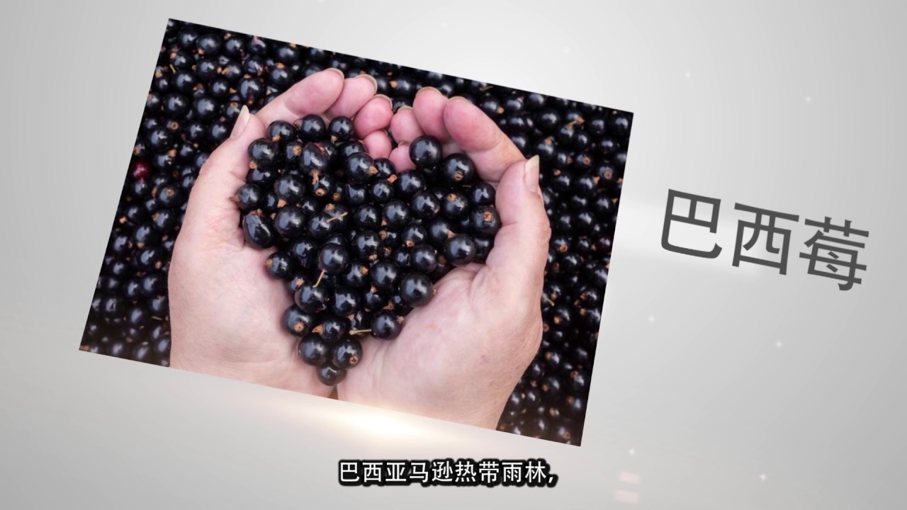 Max Pine 健康资讯- Moringa Elixir 瓶中钻 - YouTube