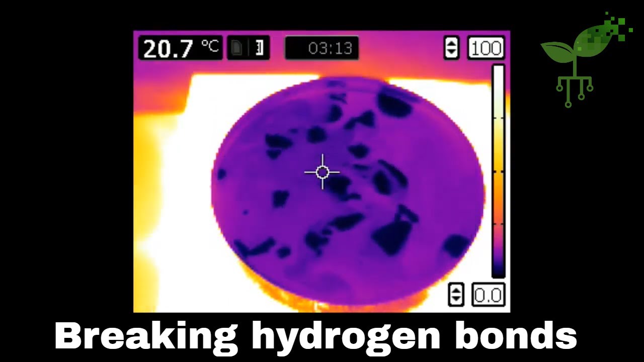 Breaking the hydrogen bonds | Introduction to Earth systems | meriSTEM ...